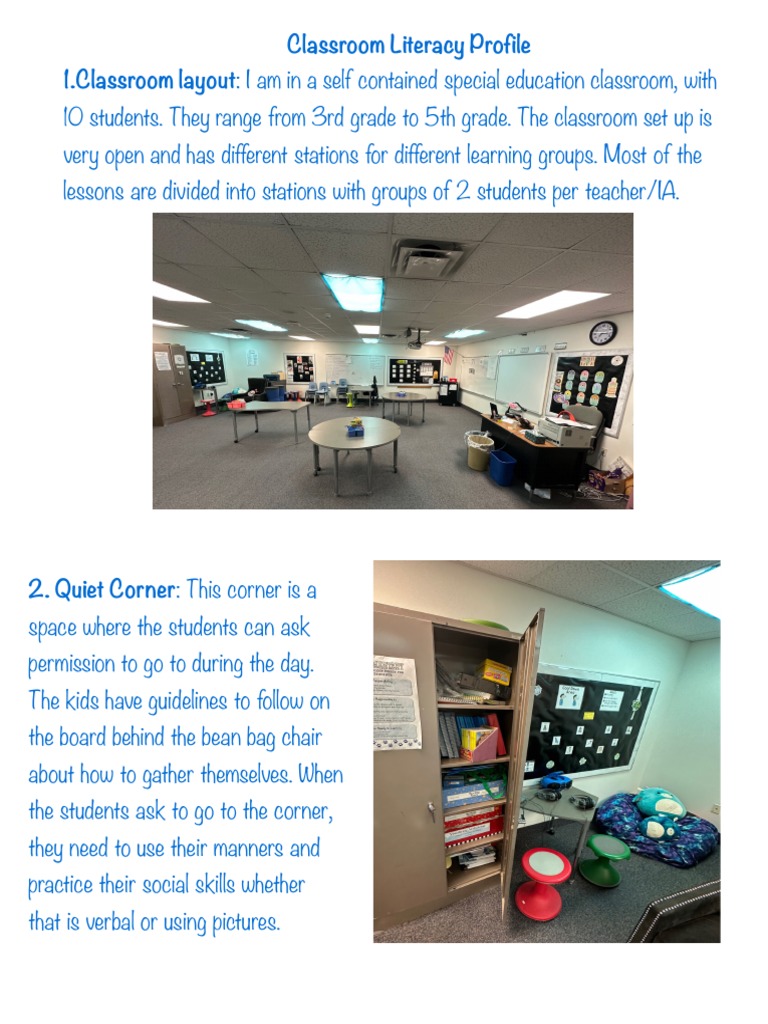 Classroom Literacy Profile | Download Free PDF | Classroom | Teachers