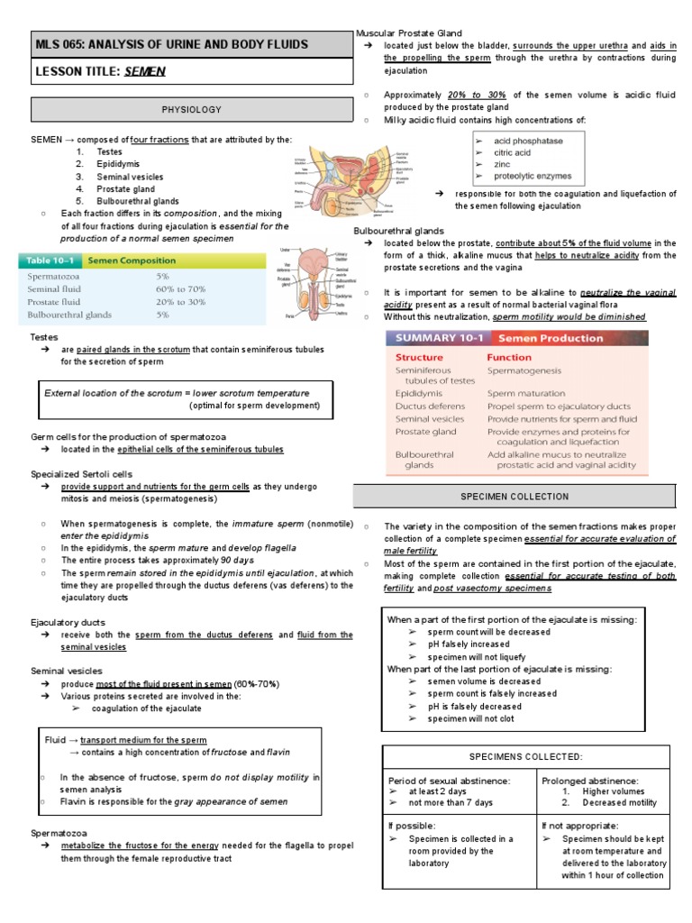 AUBF Semen | PDF | Semen | Sperm