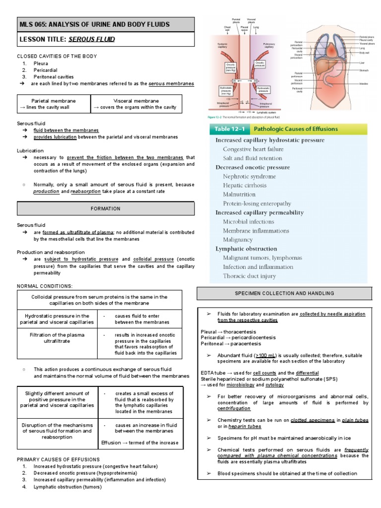 AUBF Serous Fluid | PDF | White Blood Cell | Anatomy
