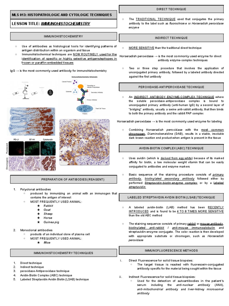 HISTOPATH Immunohistochemistry | PDF | Immunohistochemistry | Medical ...