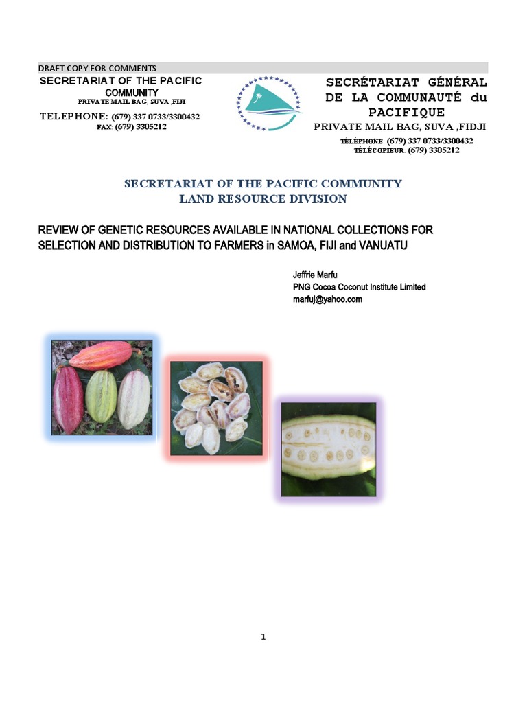 Java Cocoa | PDF | Cocoa Bean | Plant Nursery