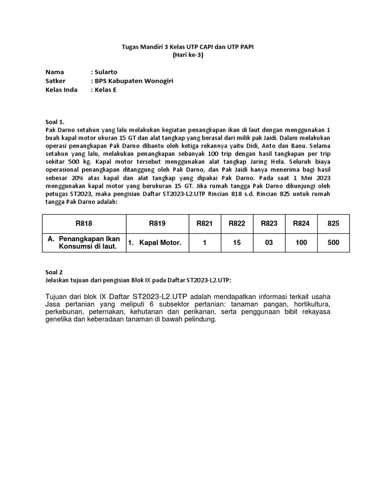 Tugas Mandiri UTP CAPI dan PAPI BPS | PDF