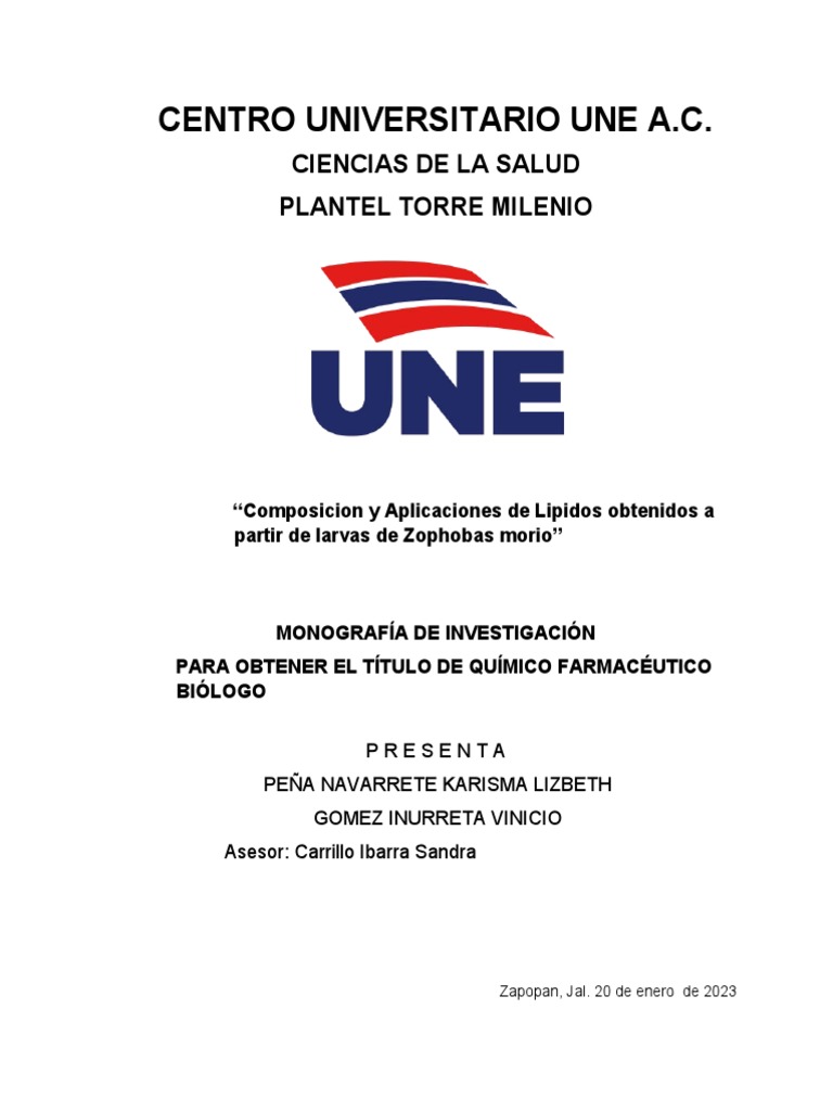 Avance 2 Zoph | PDF | Bibliografía | Solvente