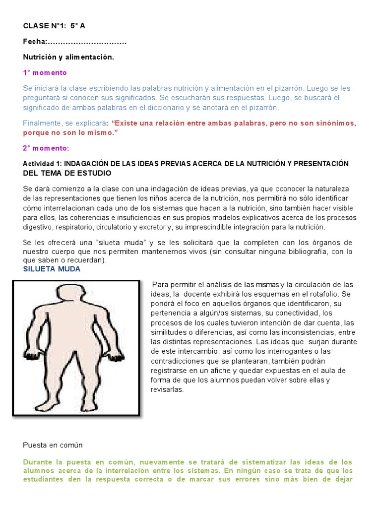 Clase de 5°a | PDF | Nutrientes | Alimentos
