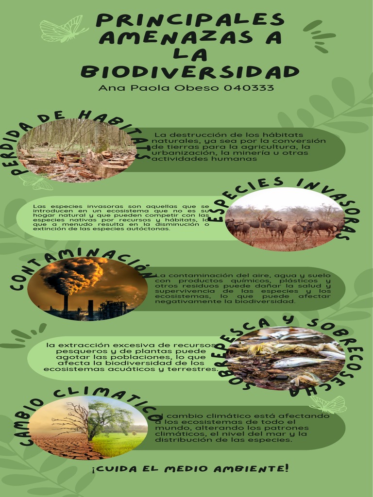principales amenazas a la biodiversidad | PDF | Biodiversidad | Ecosistema