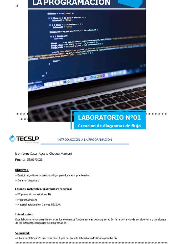 Laboratorio1 Creación de Diagramas de Flujo Cesar - Choque | PDF | Algoritmos | Programación de ...