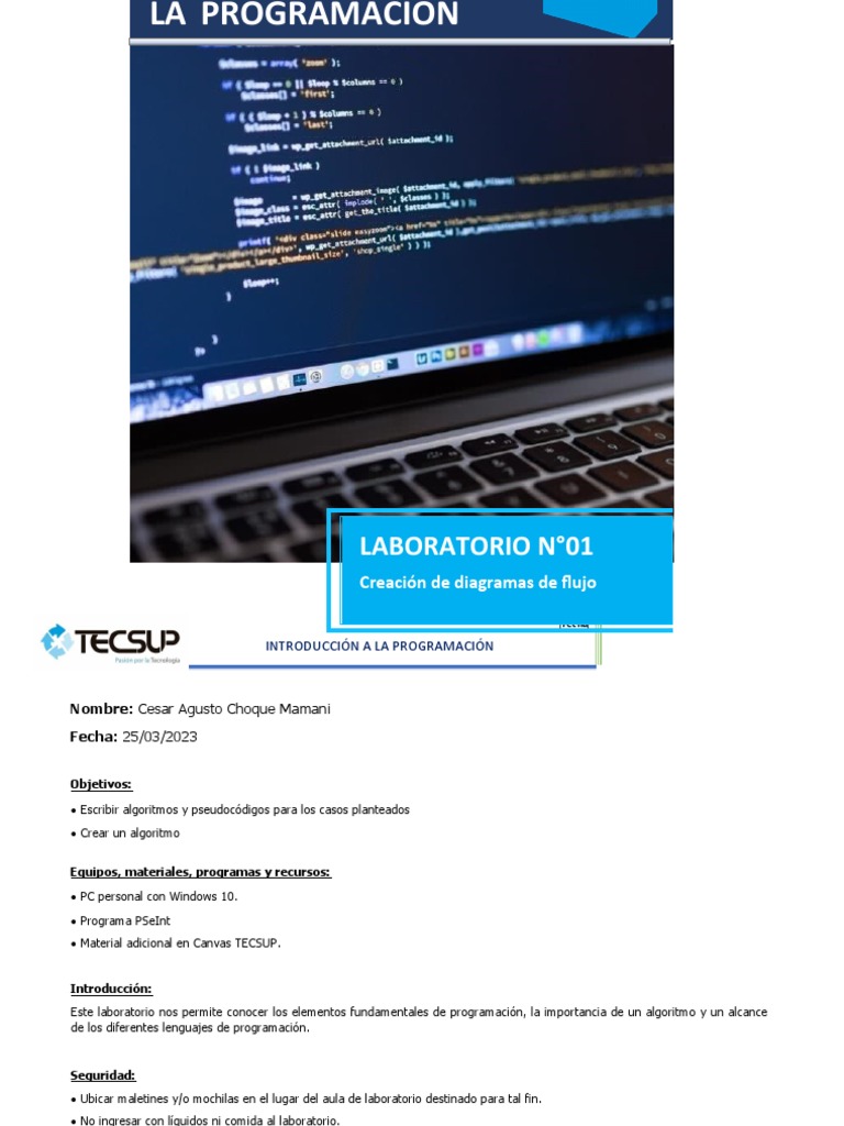 Laboratorio1 Creación de Diagramas de Flujo | PDF | Algoritmos | Programación de computadoras