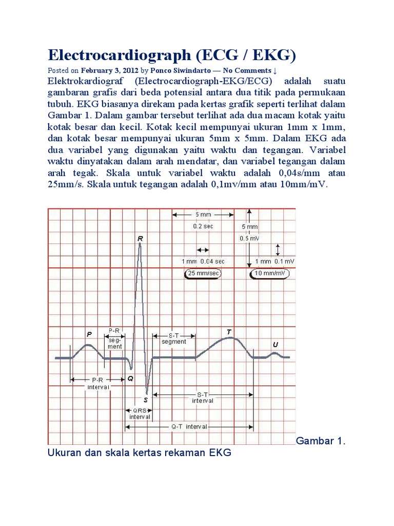 Electrocardiograph | PDF