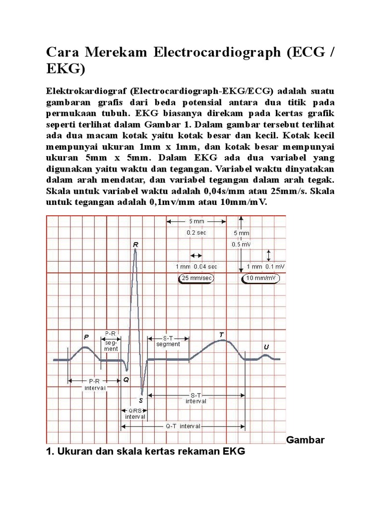 Ukuran dan Skala EKG dalam Rekaman | PDF | Seni | Sains & Matematika