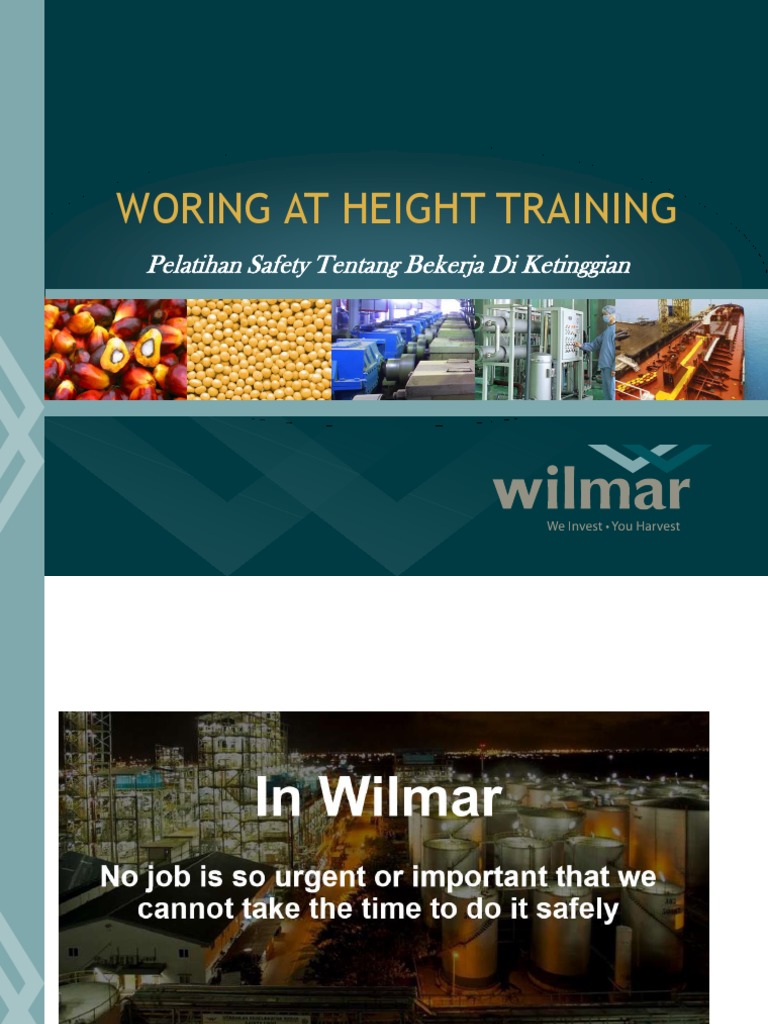 Working at Height PDF | PDF