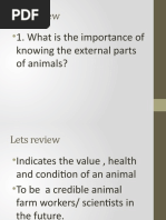 Breeds of Goats | PDF