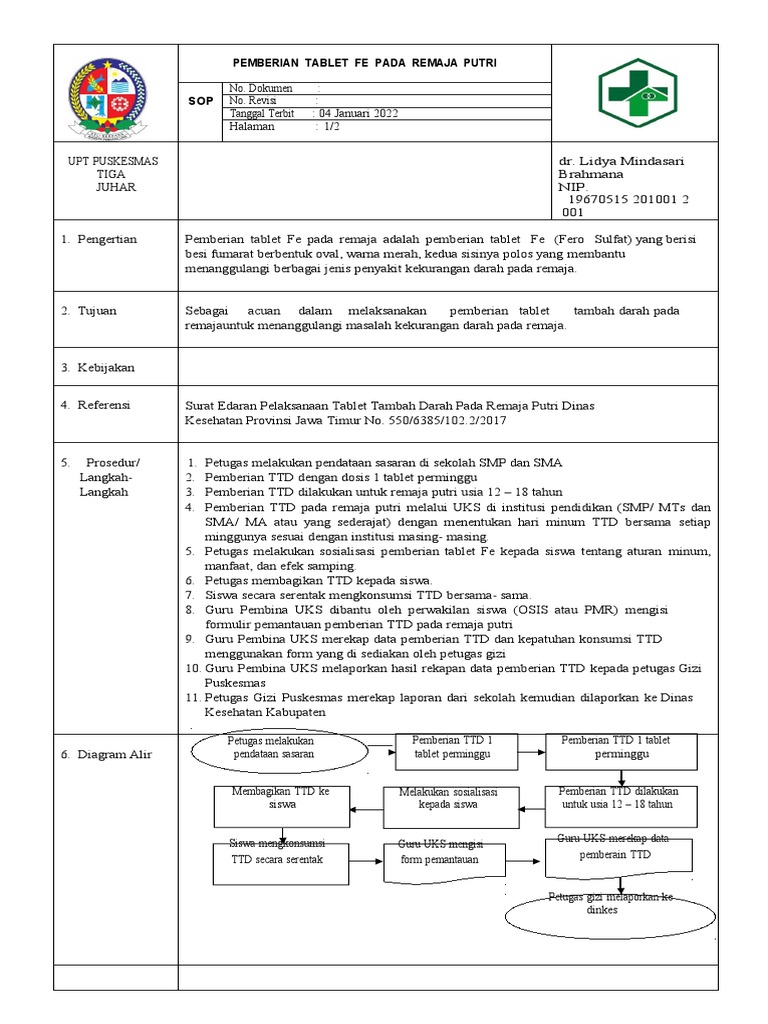 SOP Pemberian Fe Rematri | PDF