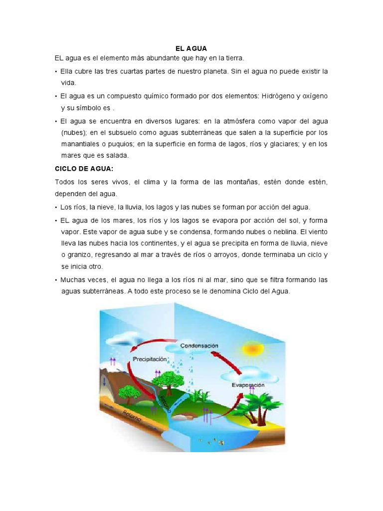El Agua | PDF | Agua | Mar