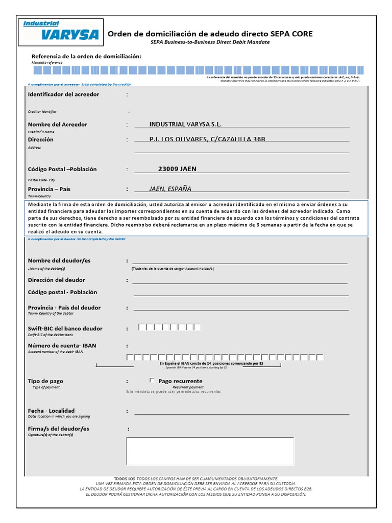 Documento Sepa Varysa | PDF | Business | Dinero