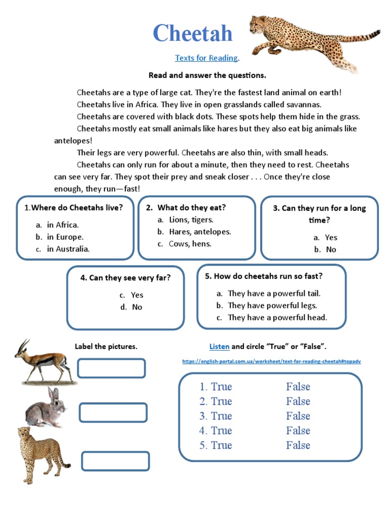 Cheetah Facts and Quiz Worksheet | PDF | Language Arts & Discipline