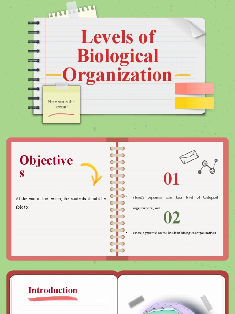 A Concise Explanation of the Hierarchical Levels of Biological ...