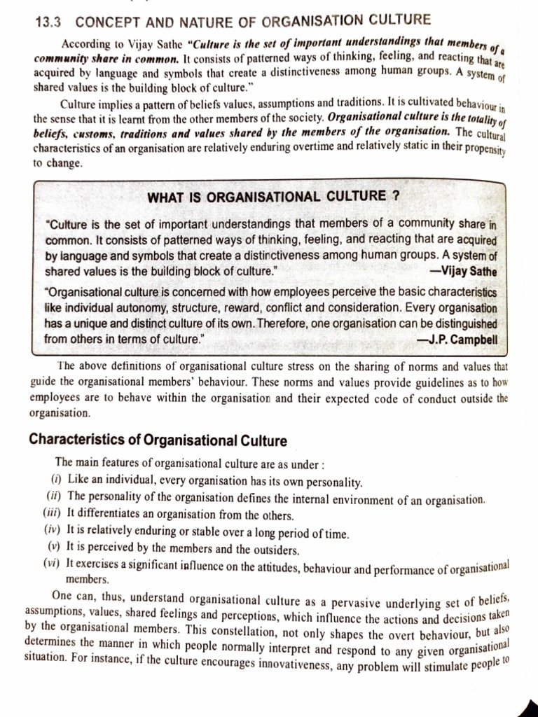 Organization Cultural | PDF | Organizational Culture | Socialization