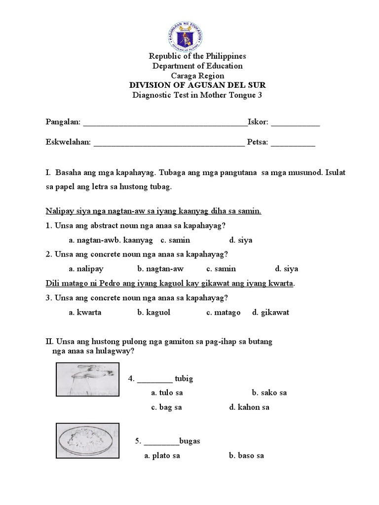 Grade 3 Mt Diagnostic Test Pdf