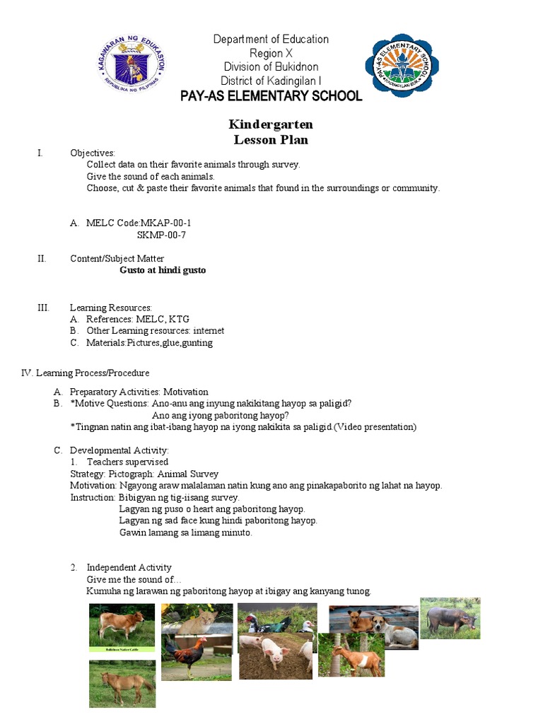Lesson Plan 1 COT | PDF
