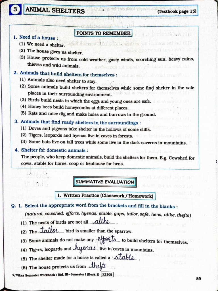 3rd Evs Lesson 3 PDF | PDF