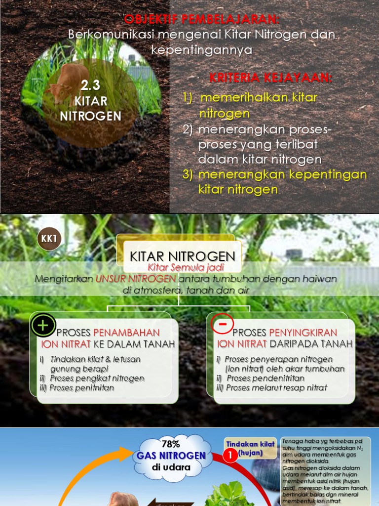 Bab 2.3 T5 Kitar Nitrogen | PDF