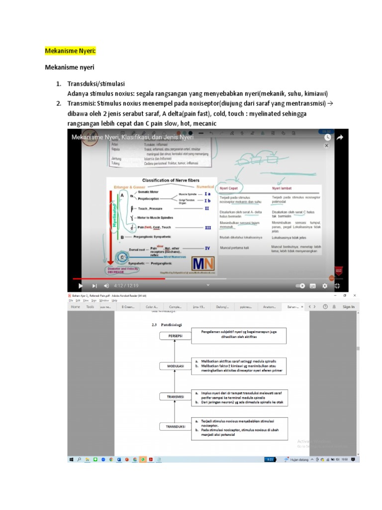 Mekanisme Nyeri | PDF