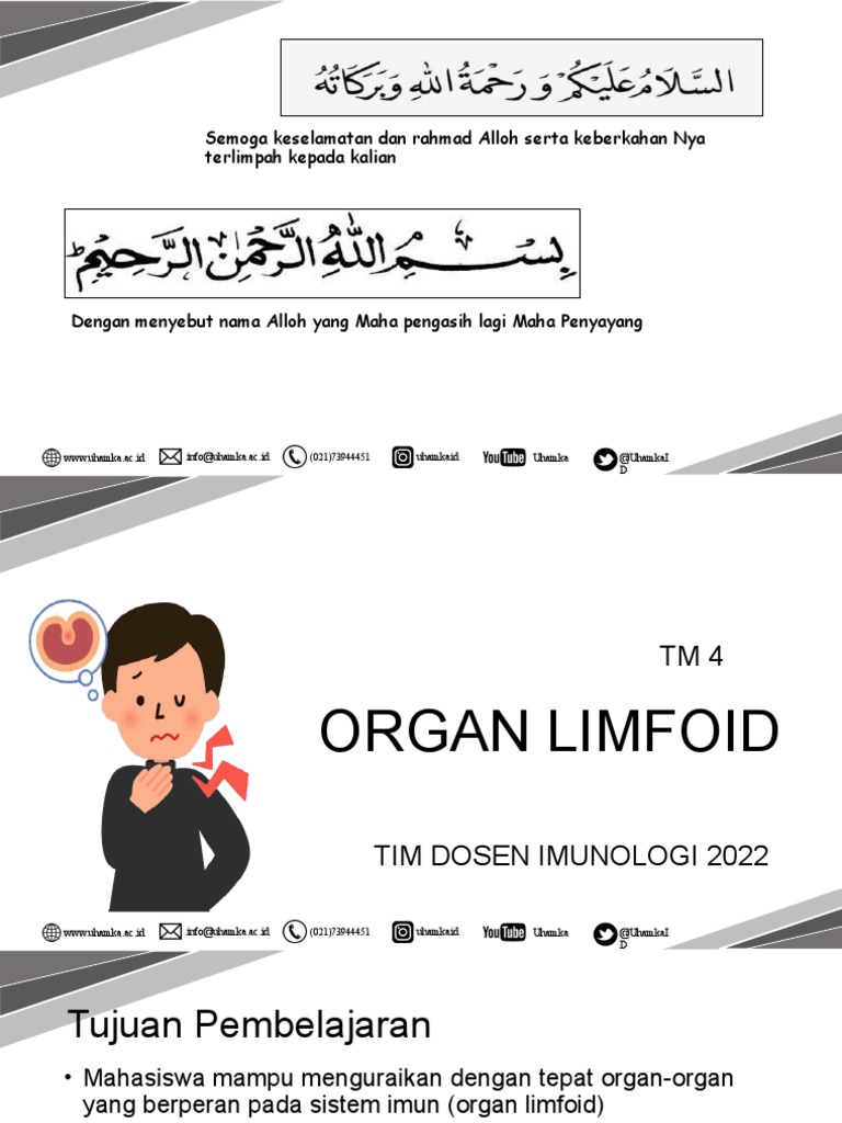 2022 TM 4. Organ Limfoid | PDF | Sains & Matematika