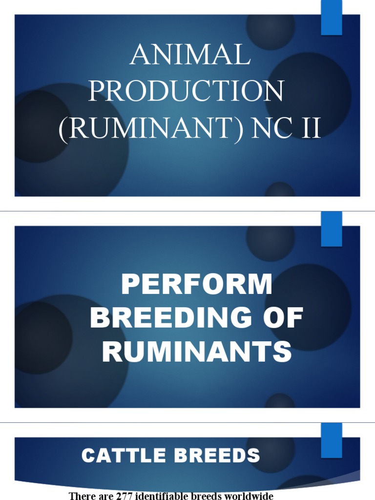 3 Perform Breeding of Ruminants | PDF | Sheep | Cattle