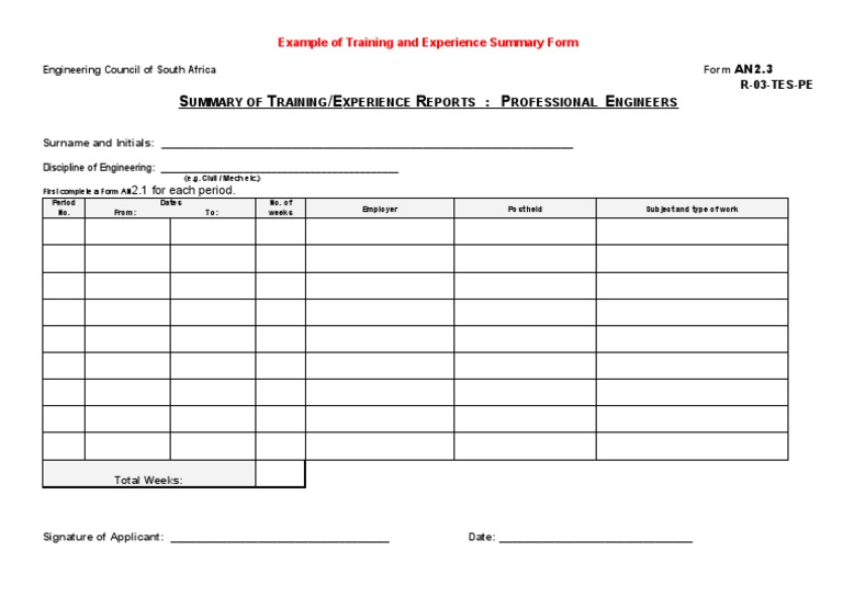 ECSA Training Experience Summary Form | PDF