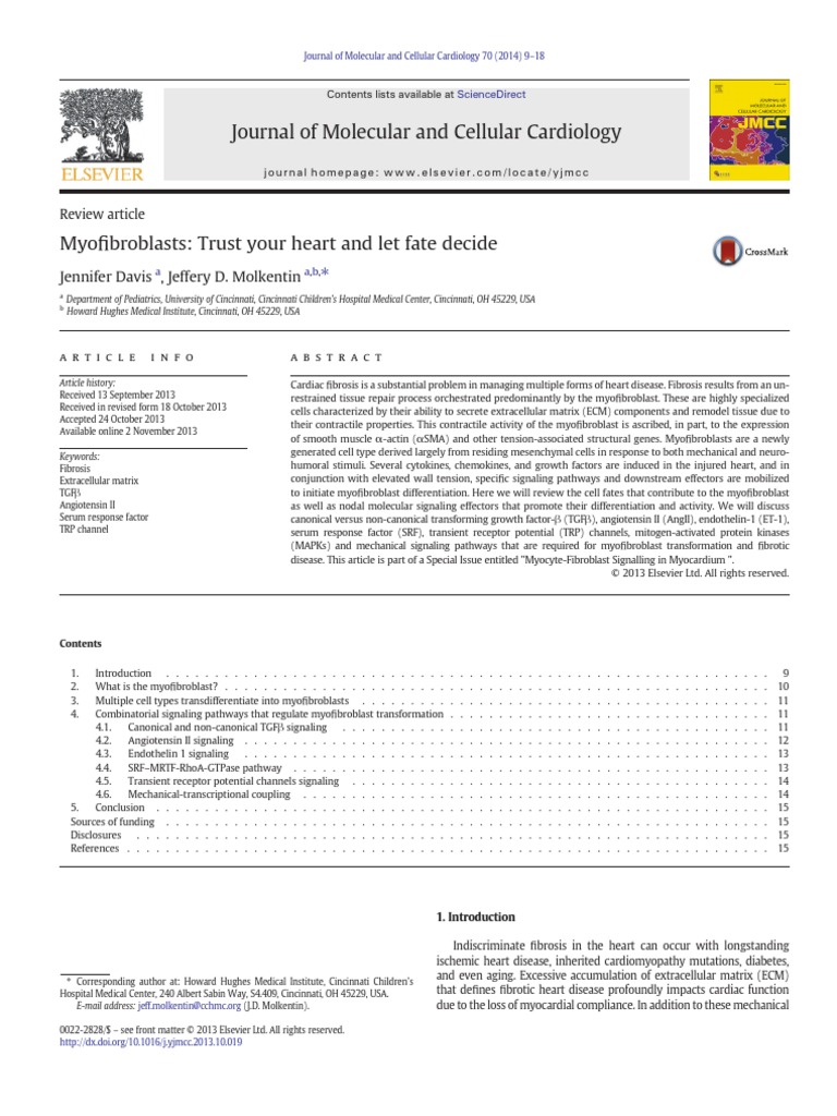 Myofibroblasts - Trust Your Heart and Let Fate Decide PDF | PDF | Transforming Growth Factor ...