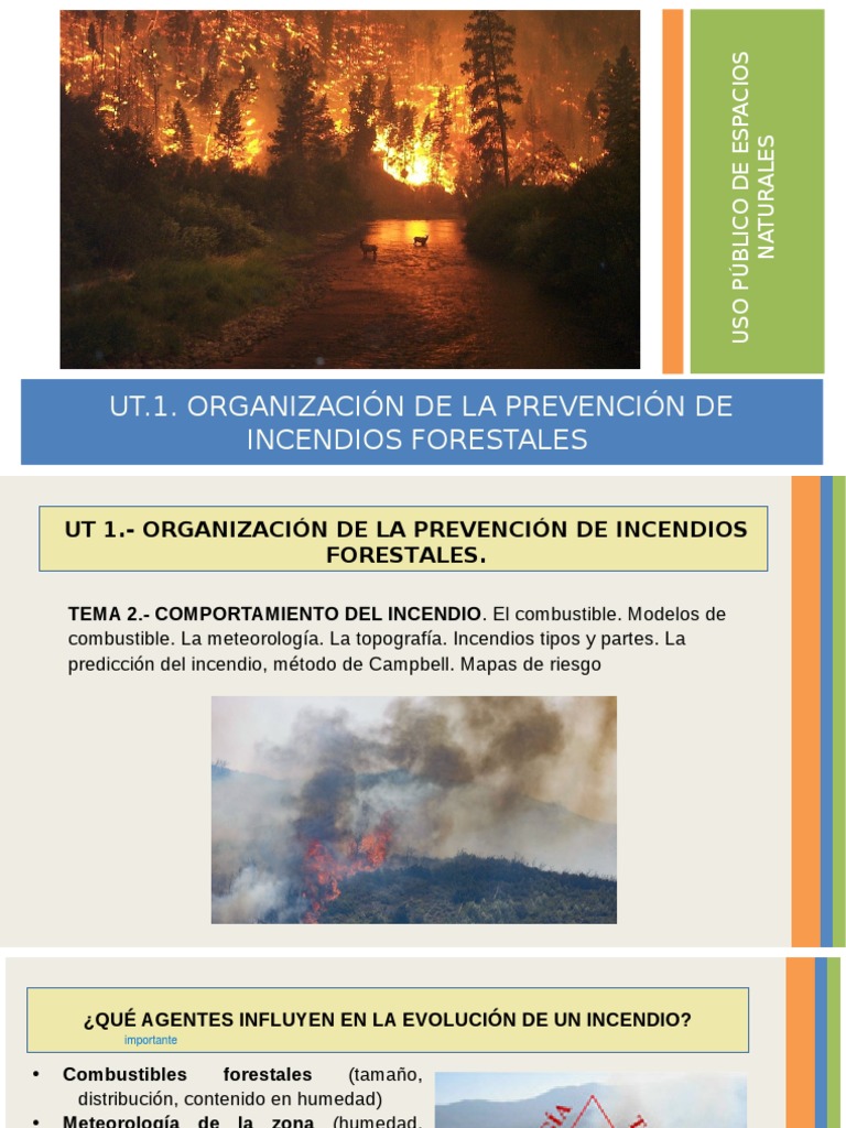 UT1 T3 Comportamiento | PDF | Fuego fatuo | Herida