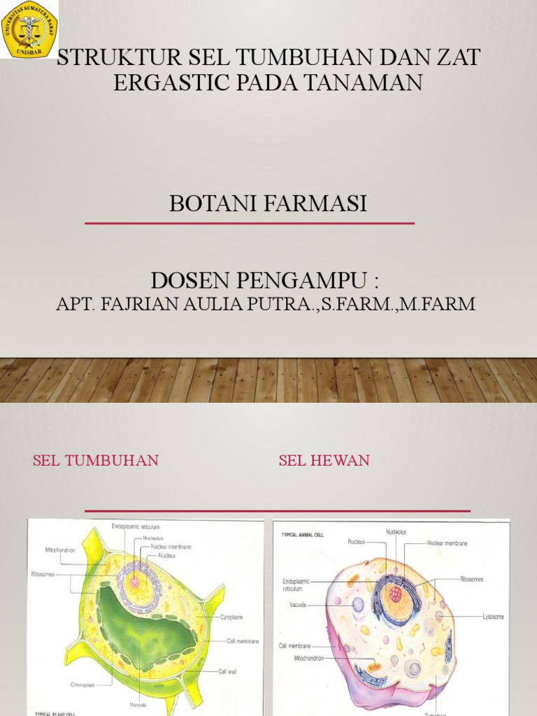 Bahan Ajar 1 Sel Tumbuhan Dan Zat Ergastik | PDF