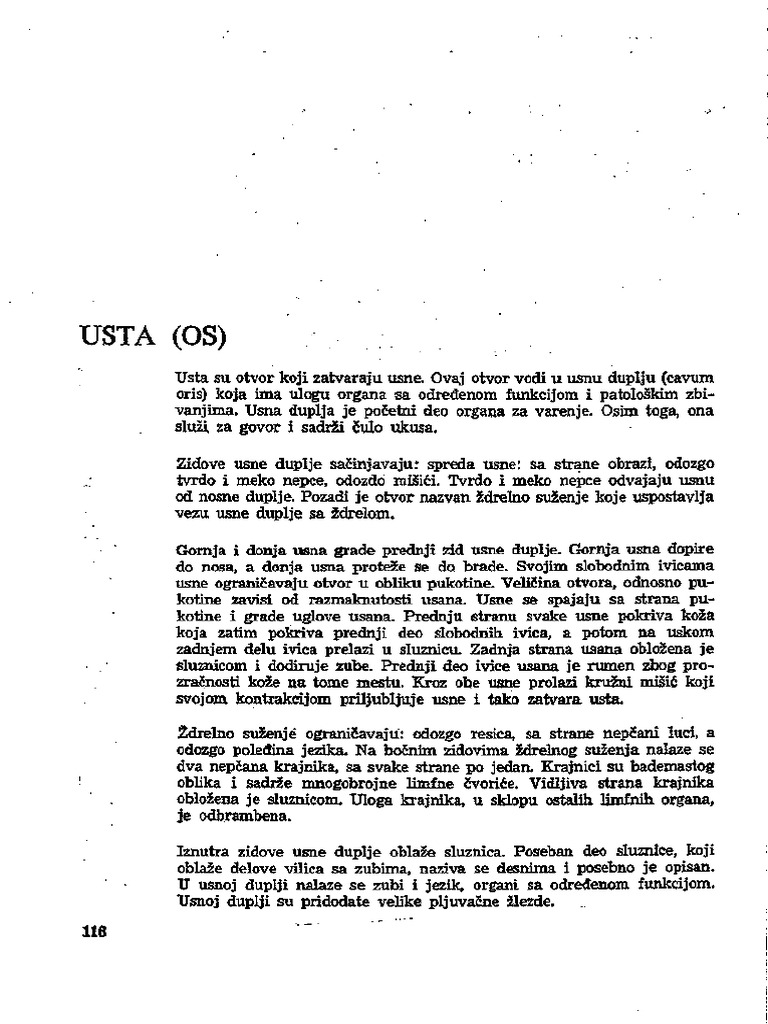 Anatomija Glave - Usta | PDF