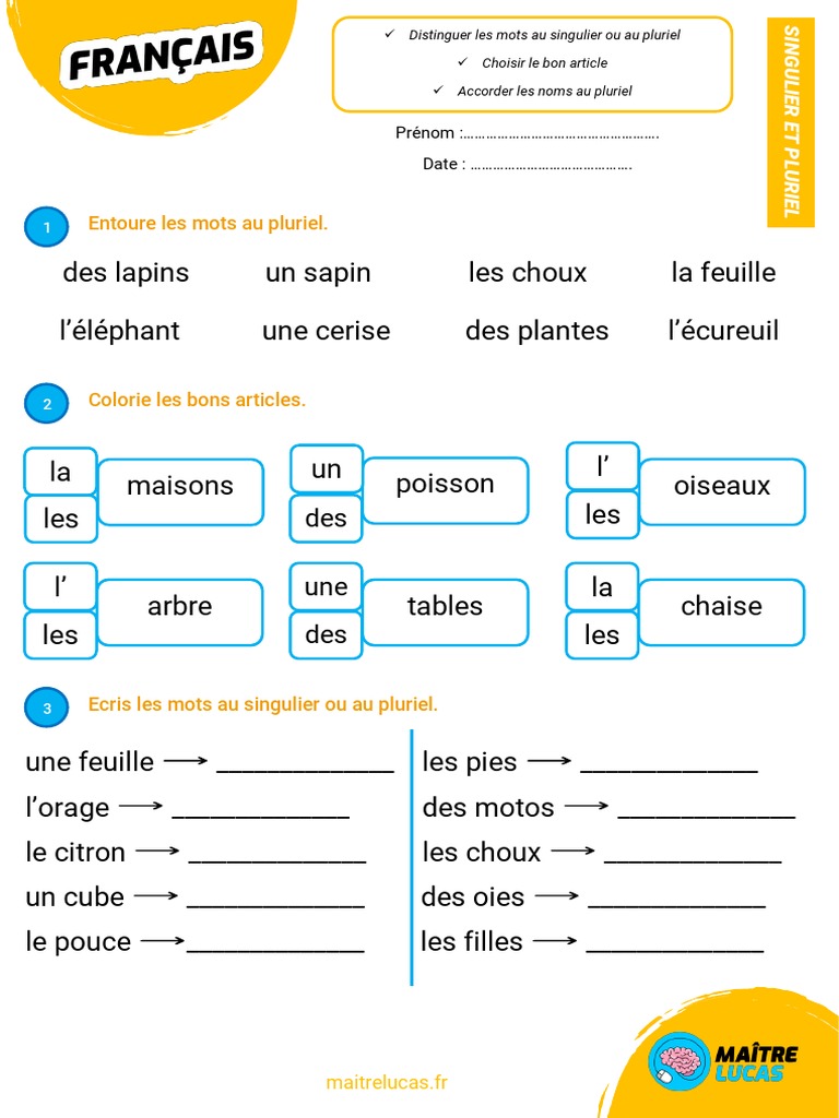 Exercices sur le Singulier et Pluriel | PDF