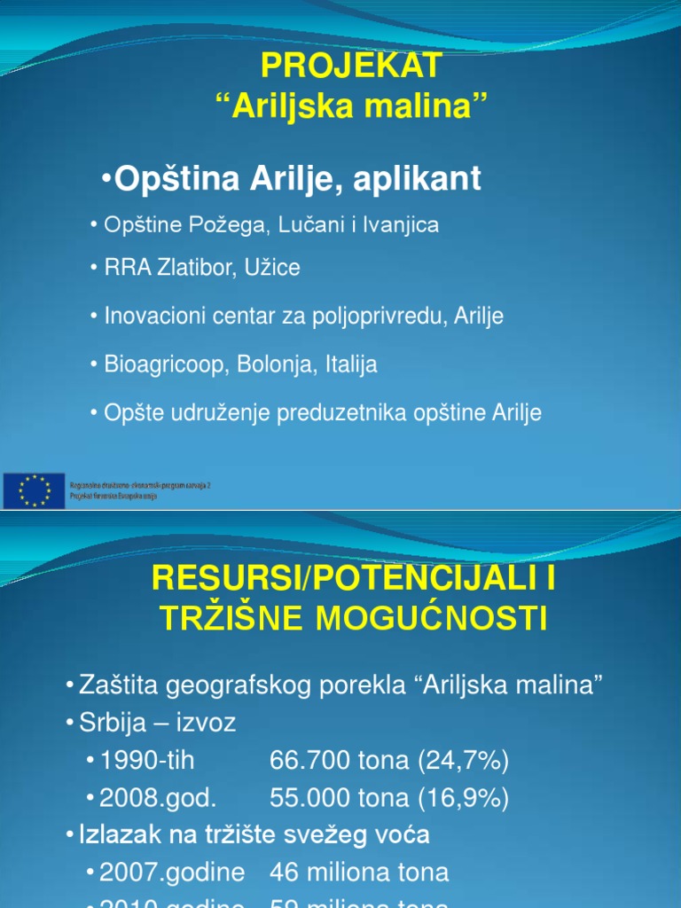 Primer Projekta - Ariljska Malina | PDF