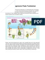 Skema Pembuahan Ganda Pada Angiospermae Dan Proses Terjadinya | PDF