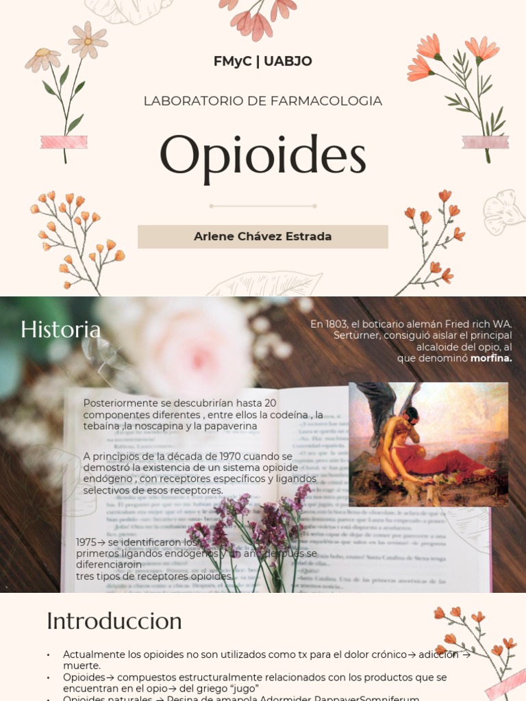 Opioides | PDF | Opioide | Bioquímica
