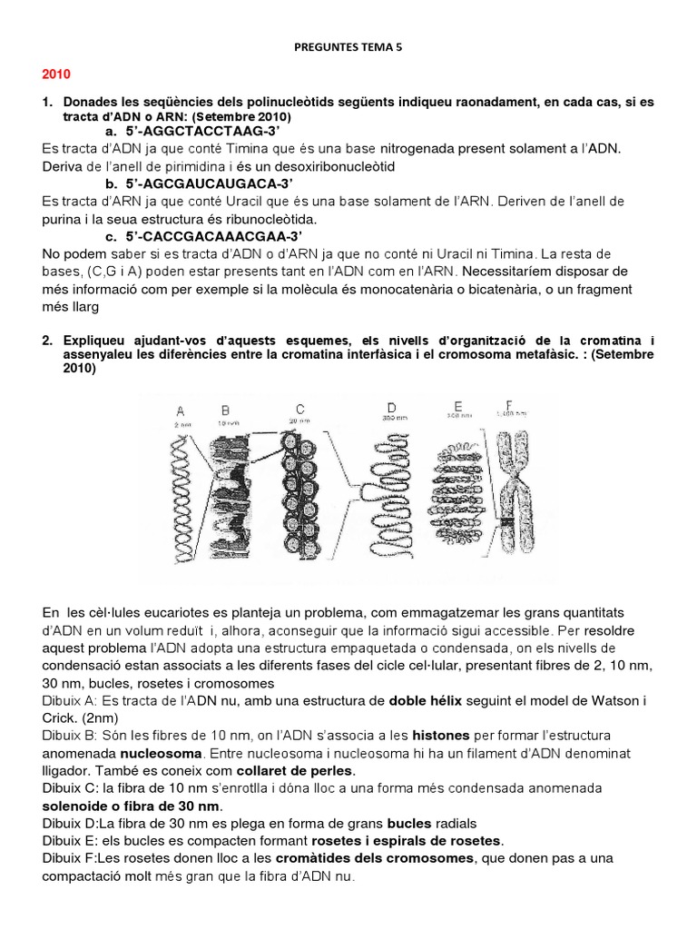 Soluciã Pau Tema 5 | PDF