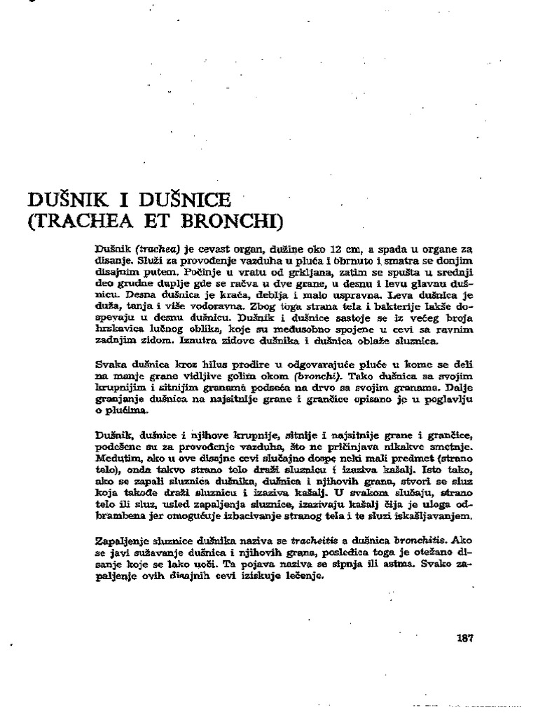 Anatomija - Dusnik | PDF
