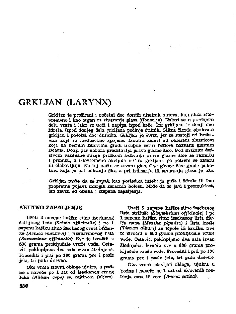 Anatomija - Grkljan | PDF