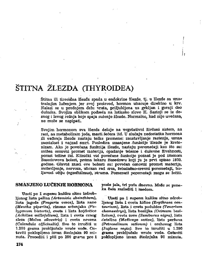 Anatomija - Stitna Zlijezda | PDF