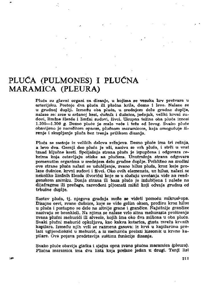 Anatomija - Pluca | PDF