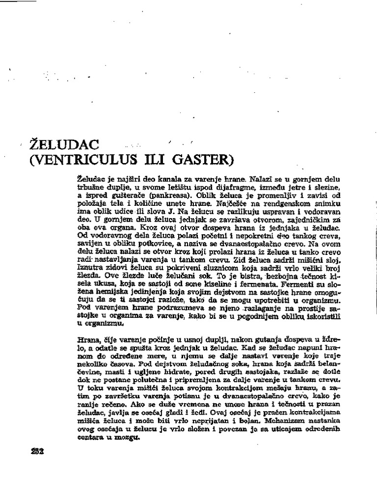 Anatomija - Zeludac | PDF