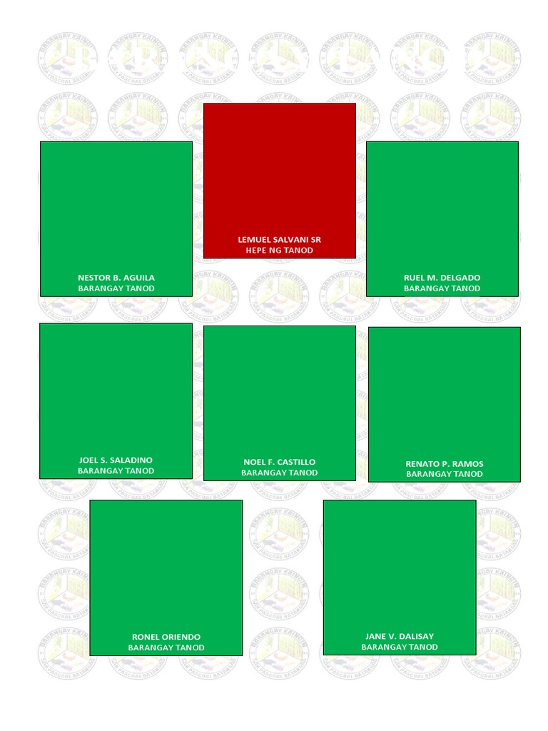 Barangay Tanod | PDF