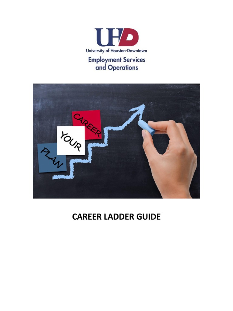 Career Ladder Guide | PDF | Employment | Salary