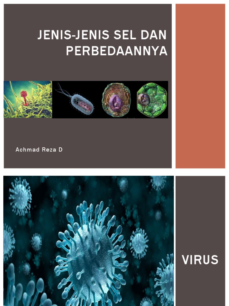 Jenis-Jenis Sel Dan Perbedaannya | PDF