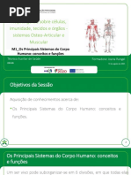 UFCD - 6562 - Prevenção e Controlo Da Infeção - Princípios Básicos A ...