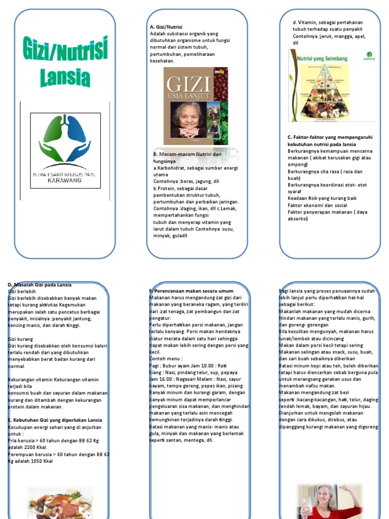 leaflet gizi lansia:geriatri .docx | PDF