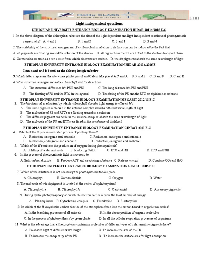 Bio Grade 12 Photosythesis | PDF | Photosynthesis | Chloroplast