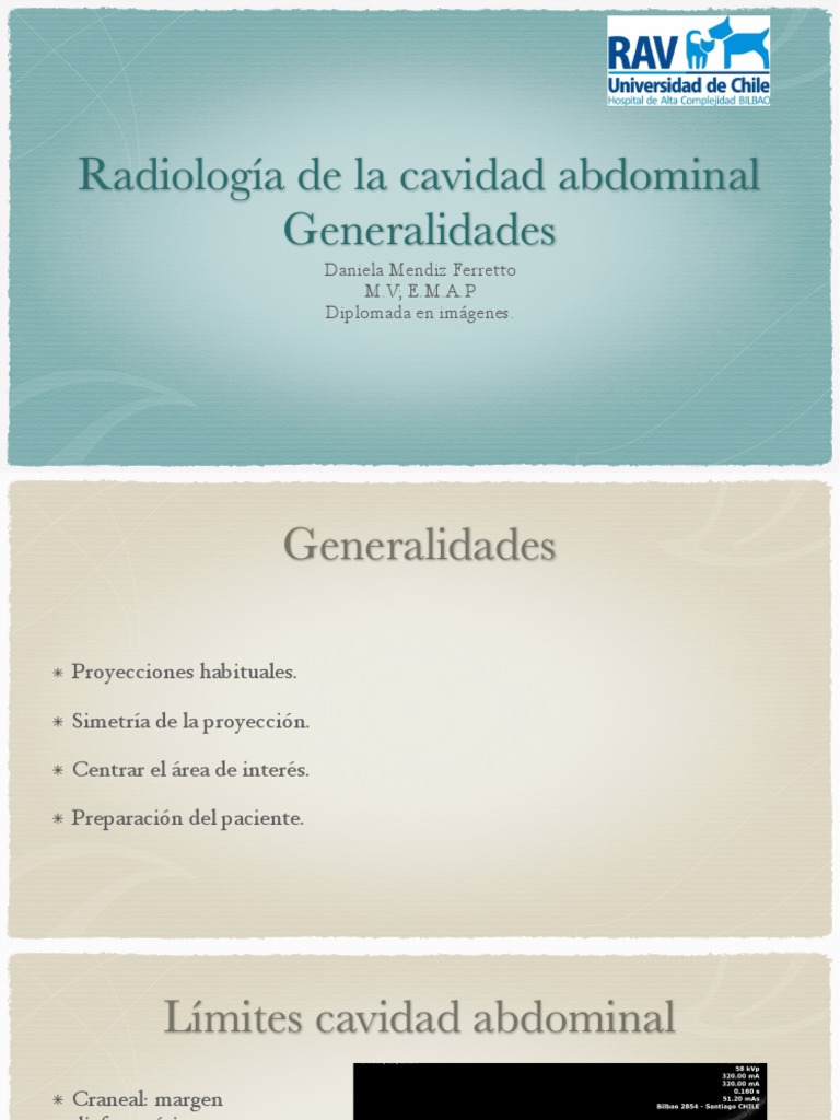 Abdomen PPT Def PDF | PDF | Abdomen | Estómago